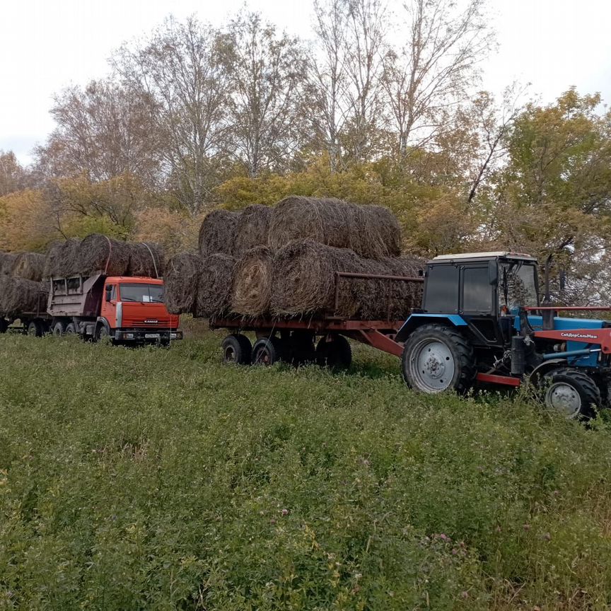 Сено в рулонах