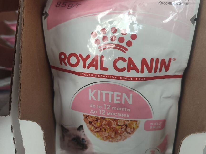Royal Canin kitten кусочки в желе