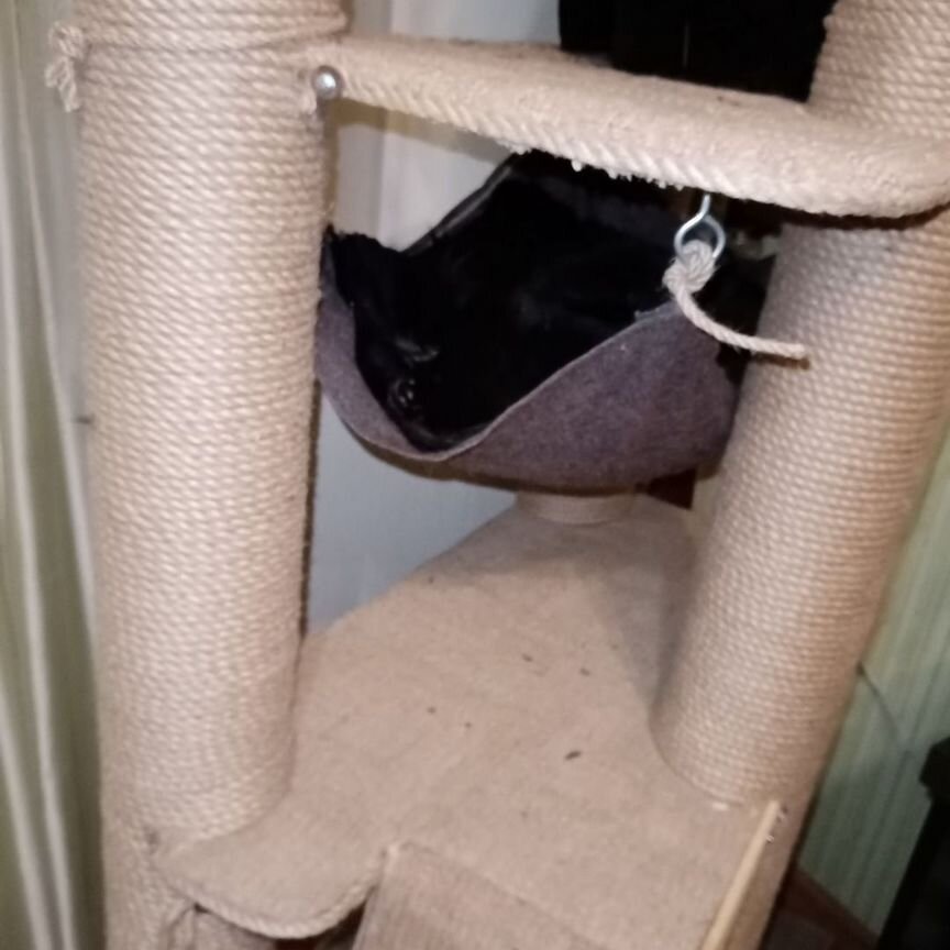 Когтеточка домик для кошки бу