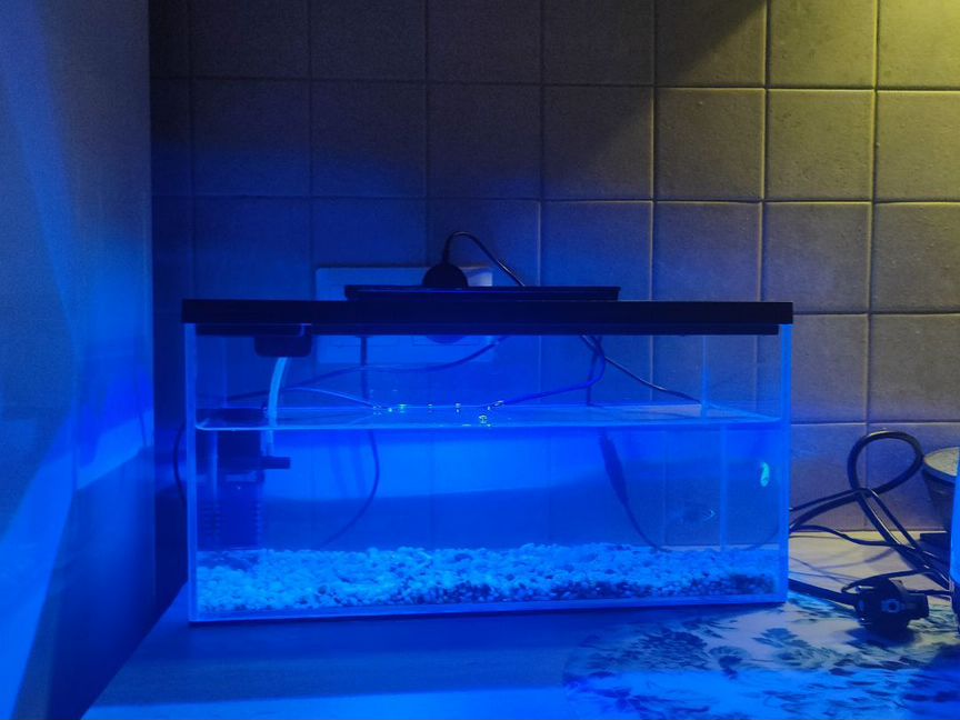 Умный аквариум Xiaomi Petkit+Рыбки