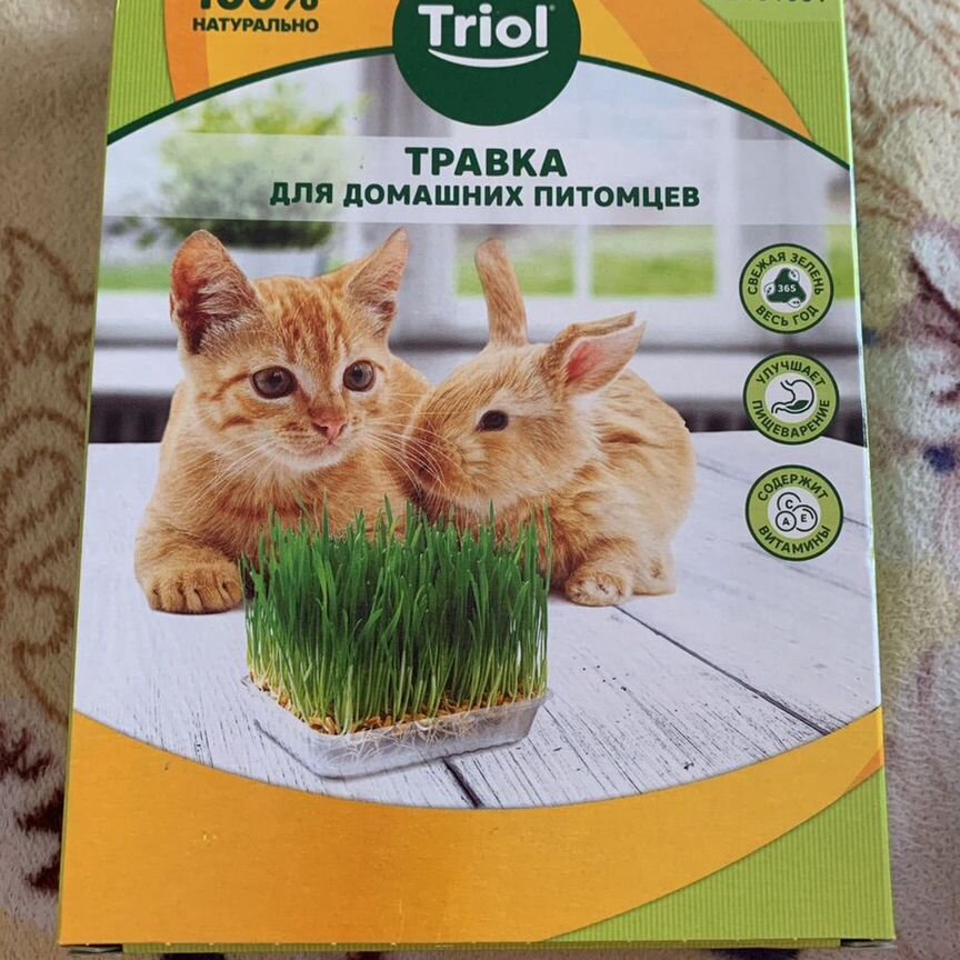 Трава для домашних животных