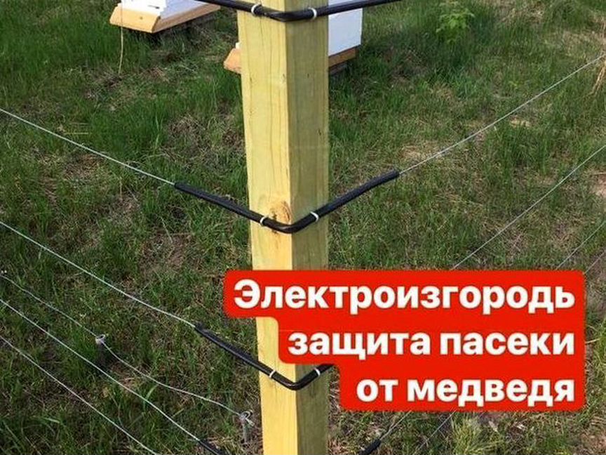 Электроизгородь. Защита пасеки