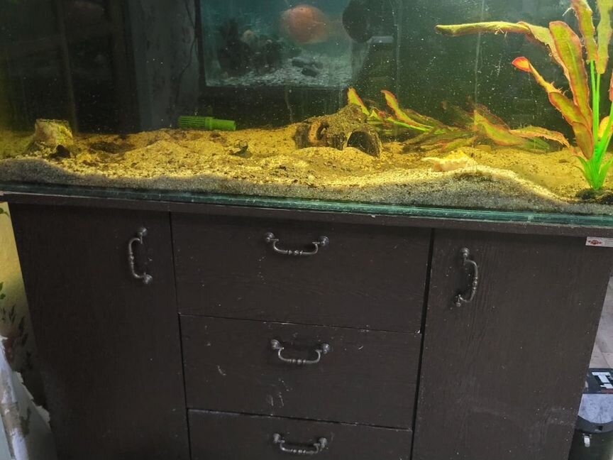 Аквариум с тумбой 310 литров