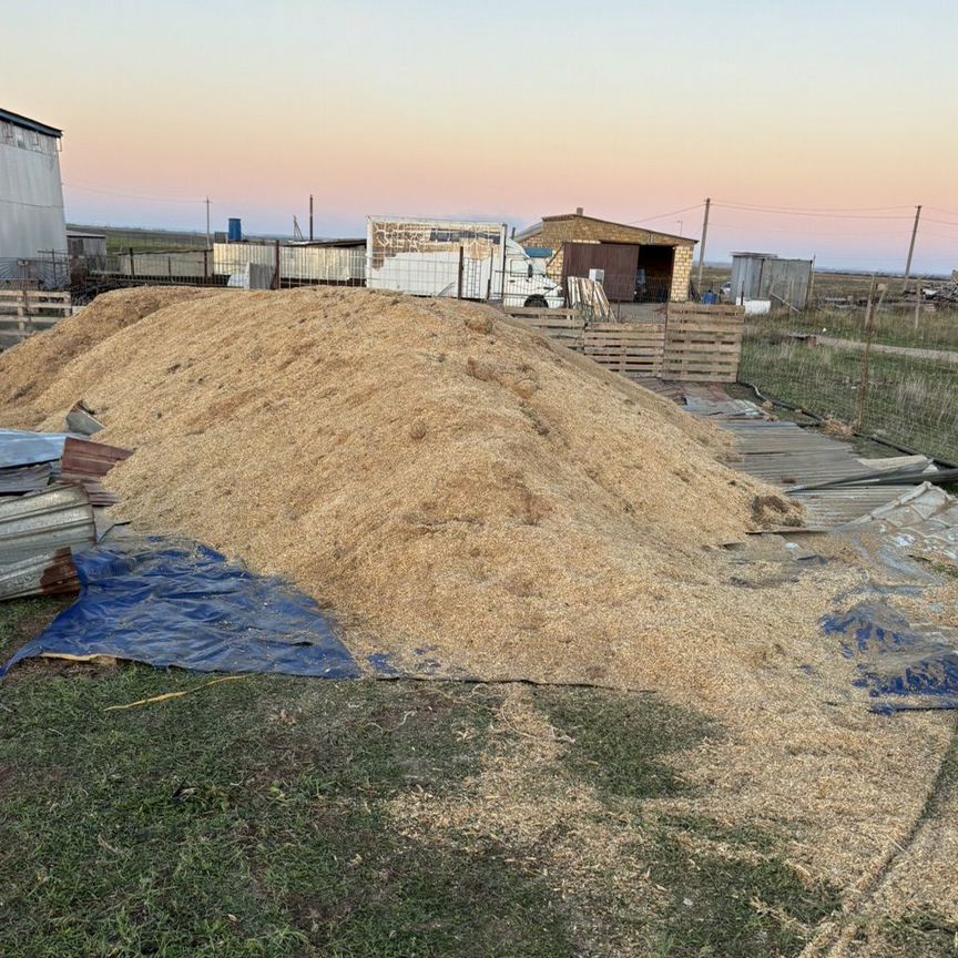 Зерноотходы пшеничные