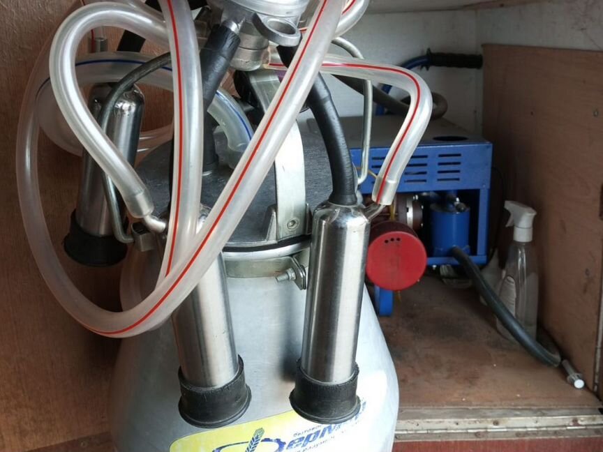 Доильный аппарат для коров