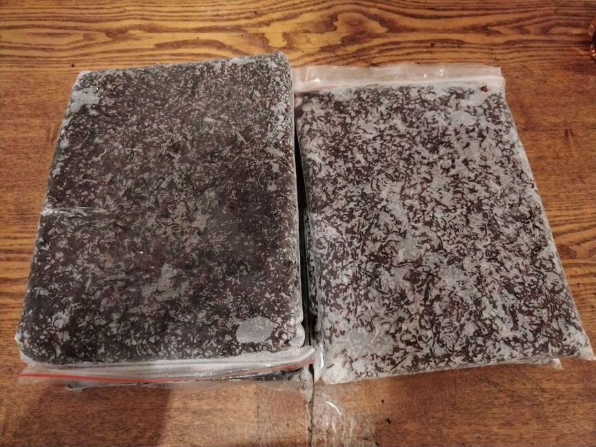 Мотыль замороженный