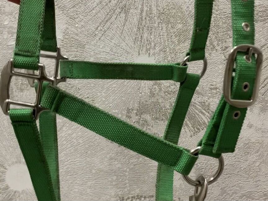 Недоуздок для лошади