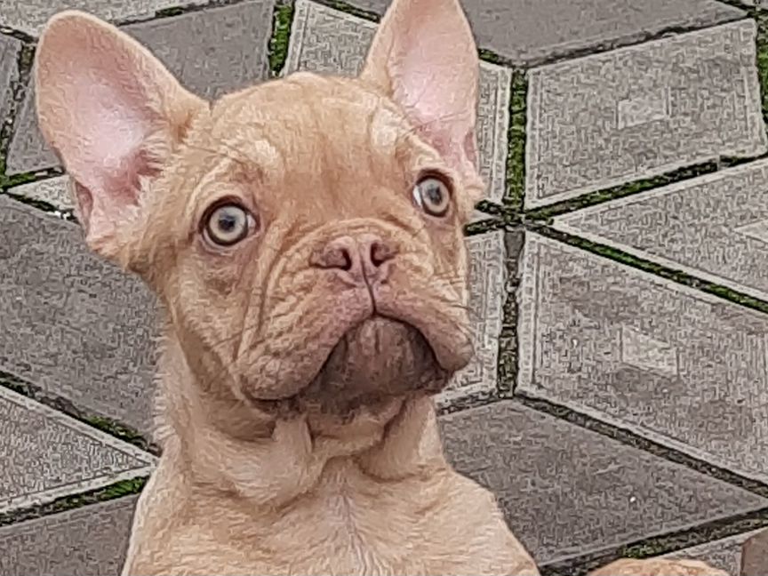 Девочка с необычными глазками