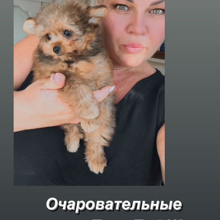 Малыш помаПу