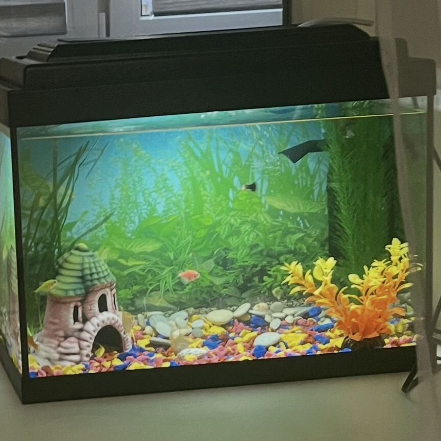 Аквариум 30 литров