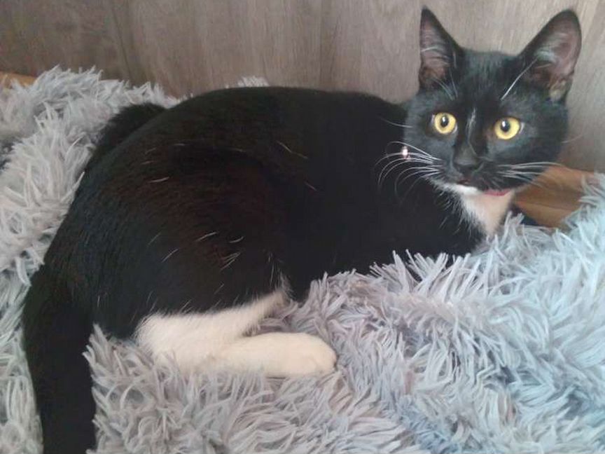 Я Соня, и я жду свою семью