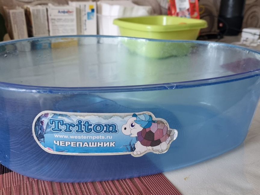 Черепашник