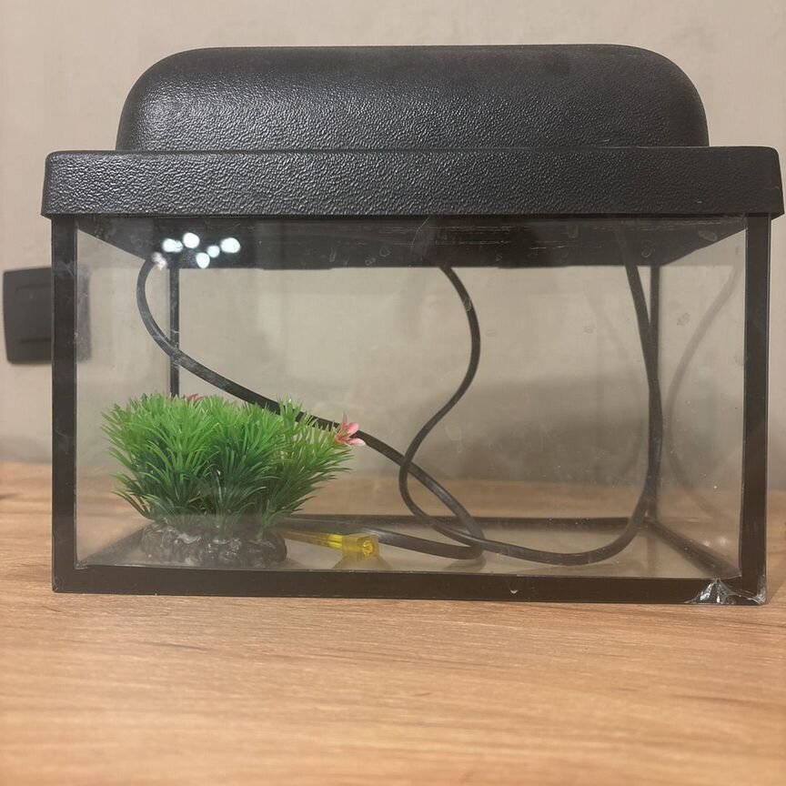 Аквариум   подарки к аквариуму :р