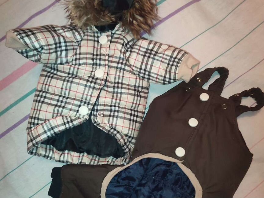 Одежда для маленьких собак зима