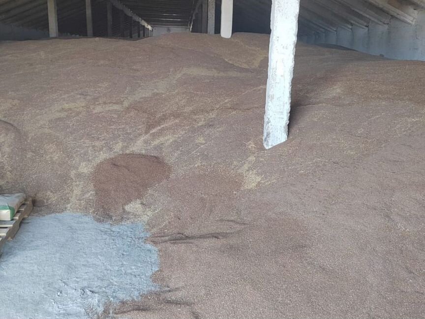 Лен масленичный 400 тонн