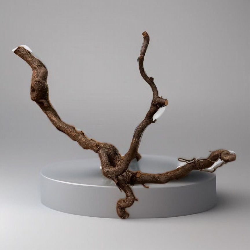 Коряга корилиус для декора