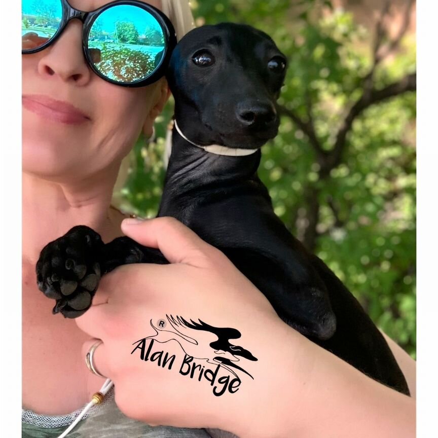 Породистый щенок породы левретка