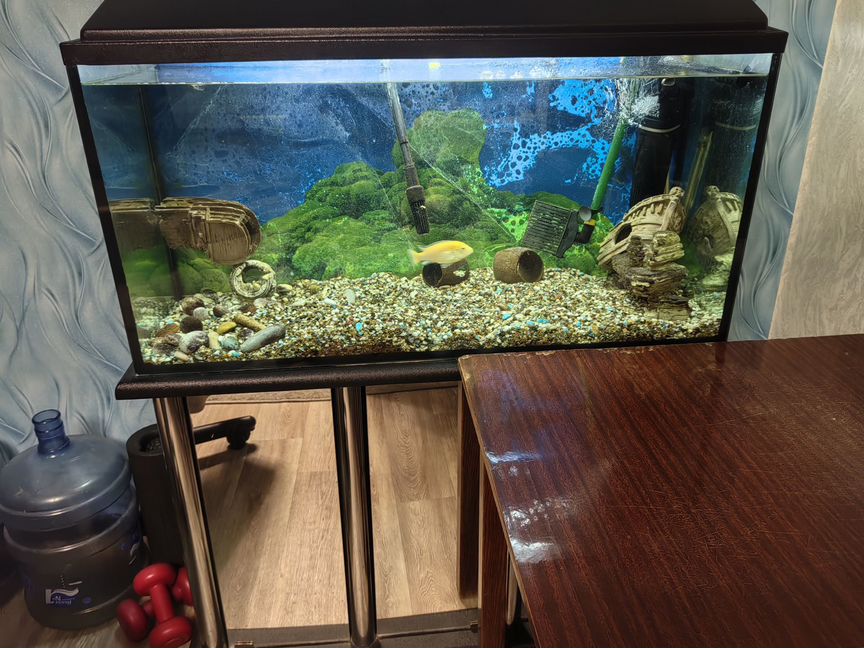 Продам аквариум