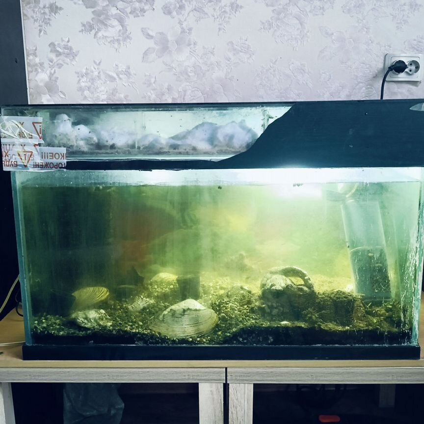 Аквариум бу с рыбками