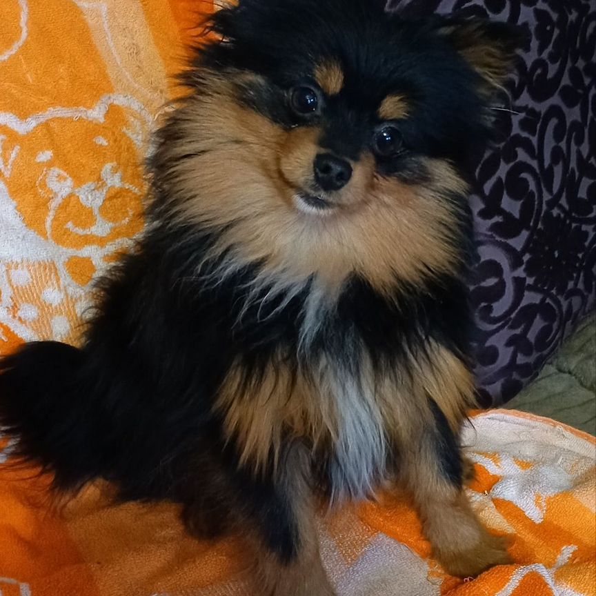 Гиперактивный подросток