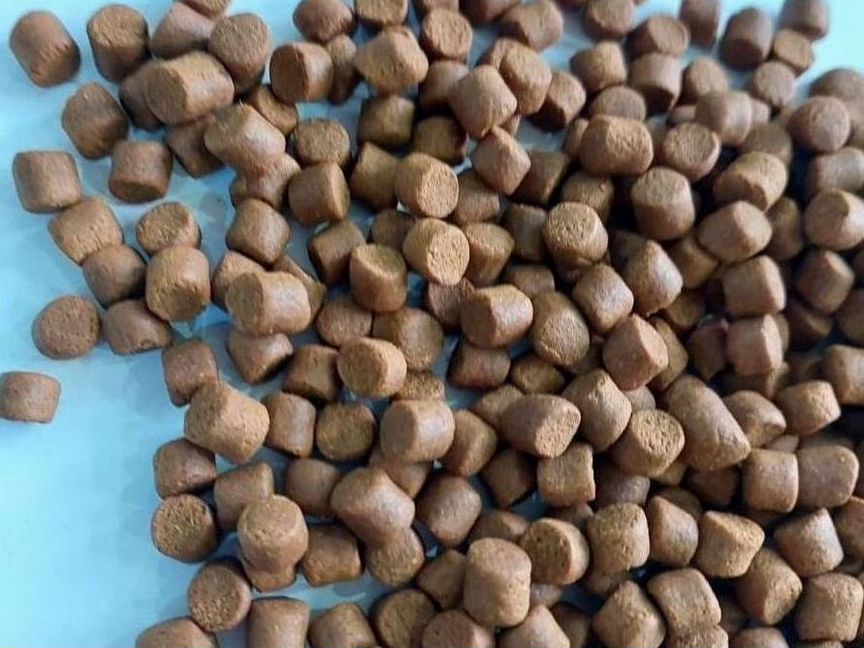 Корм для карпа