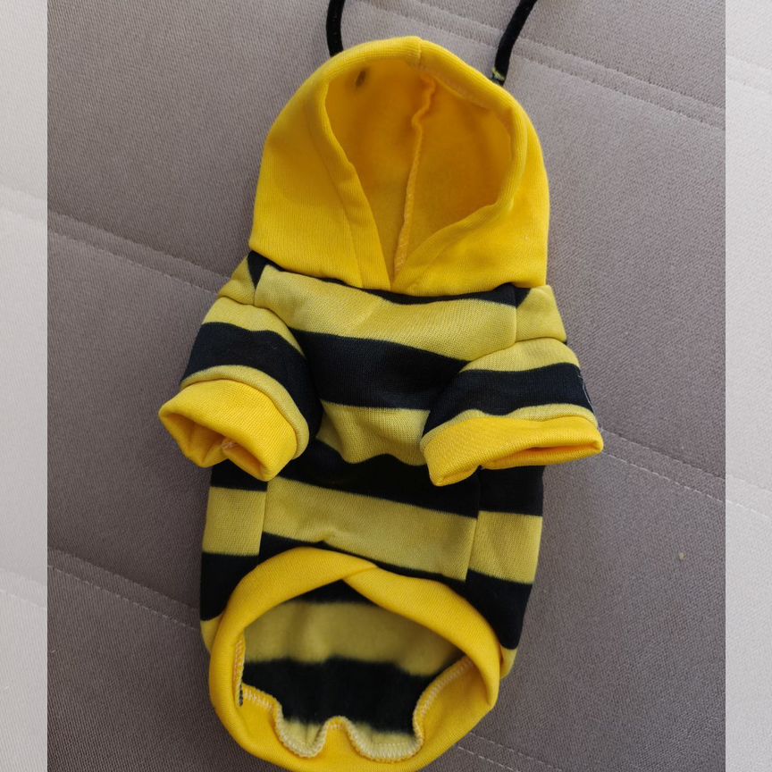 Одежда для маленьких собак