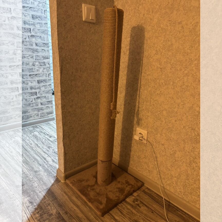 Когтеточка