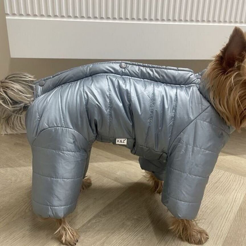 Одежда для маленьких собак