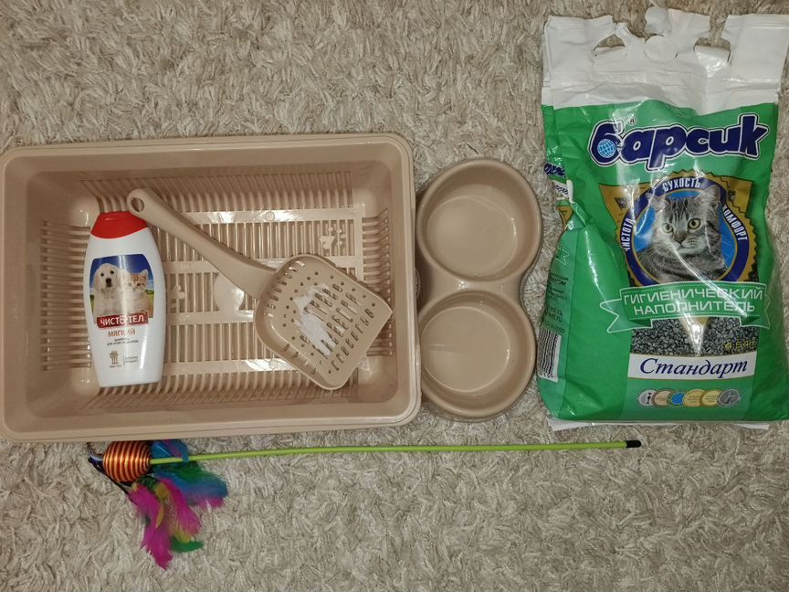 Набор всё для котёнка