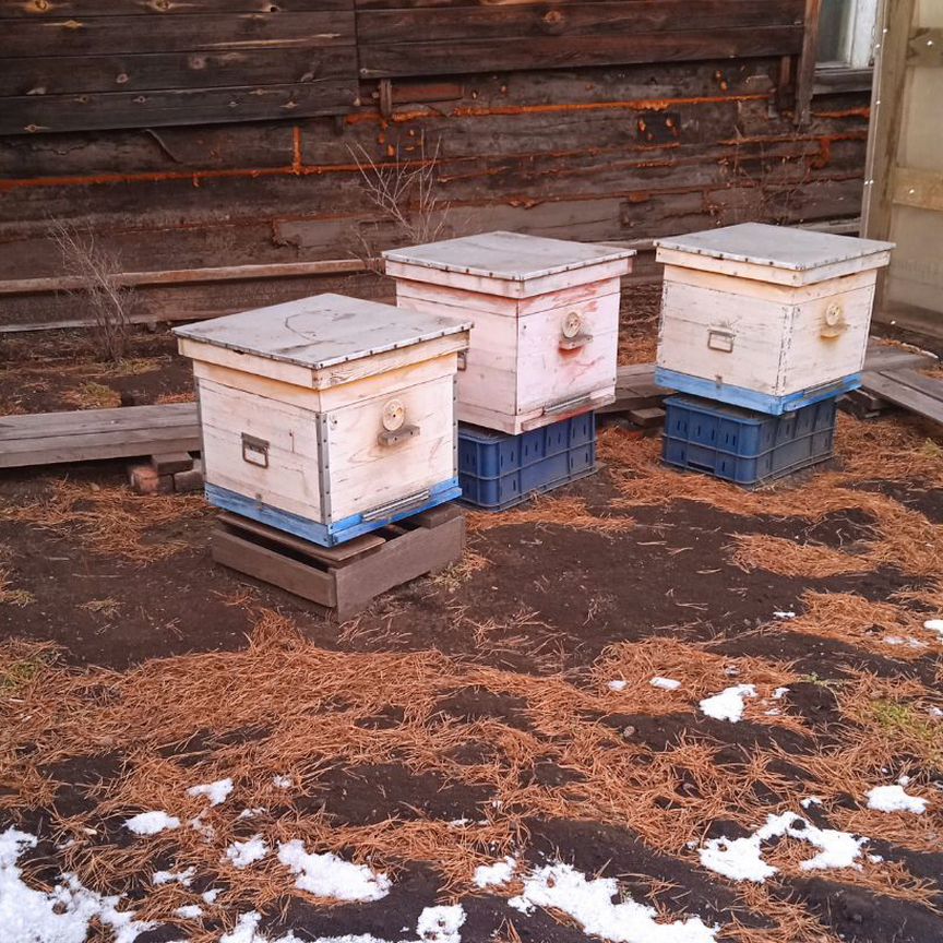 Улики для пчел бу