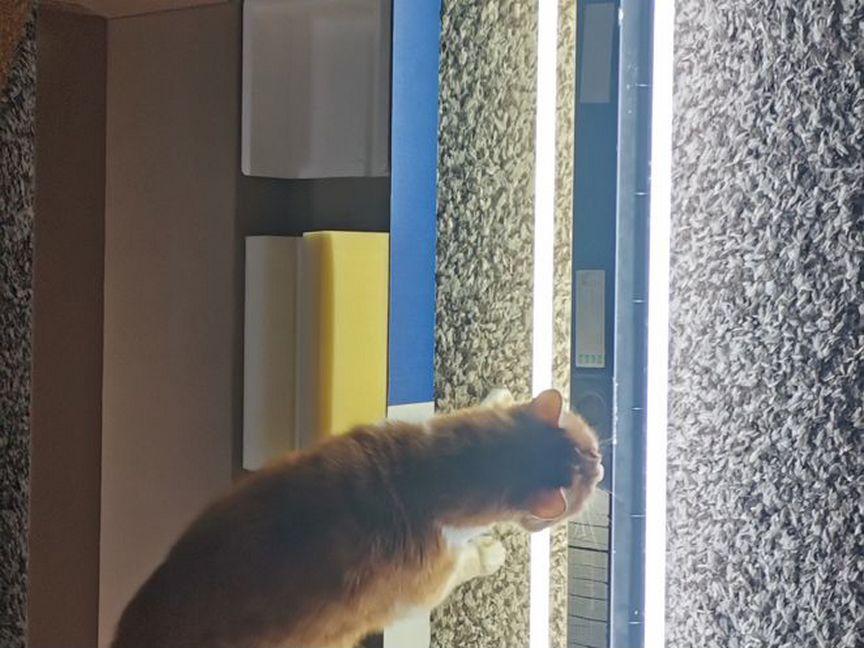 Светильник для аквариума juwel