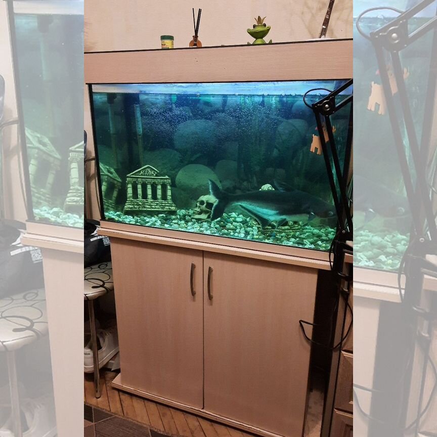 Аквариум 140 л. вместе с тумбой
