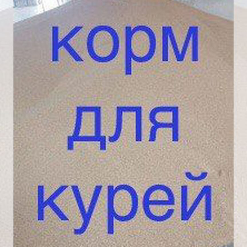 Корм для курей опт
