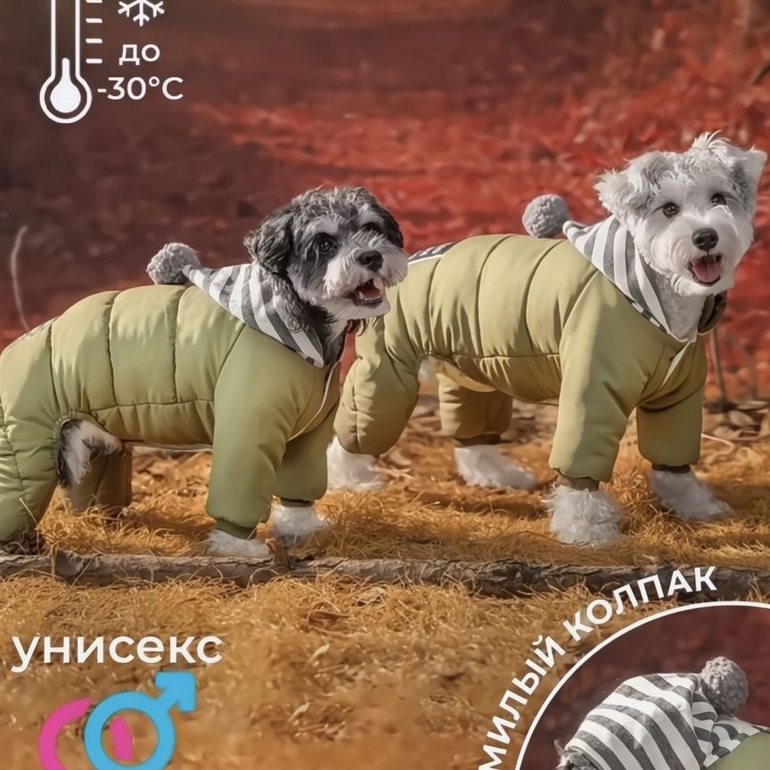 Одежда для маленьких собак