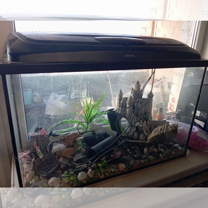 Аквариум