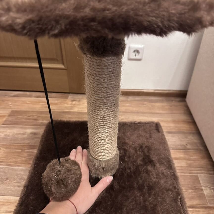 Когтеточка для кошки Новая