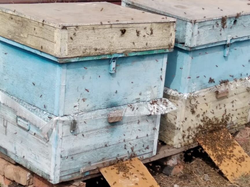 Улей для пчел бу