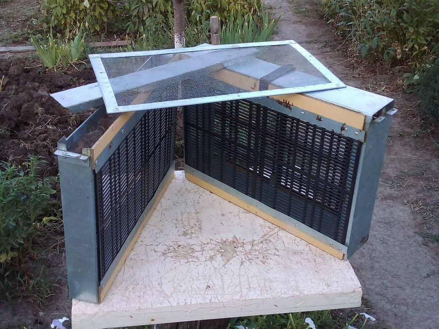 Изолятор для маток