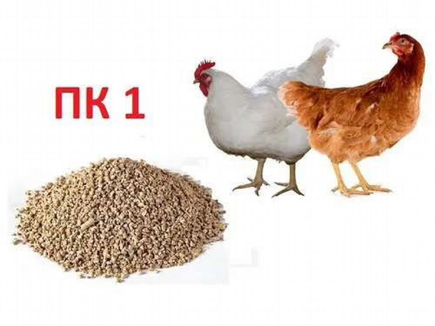 Комбикорм для куриц