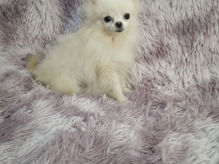 Супер мини девочка