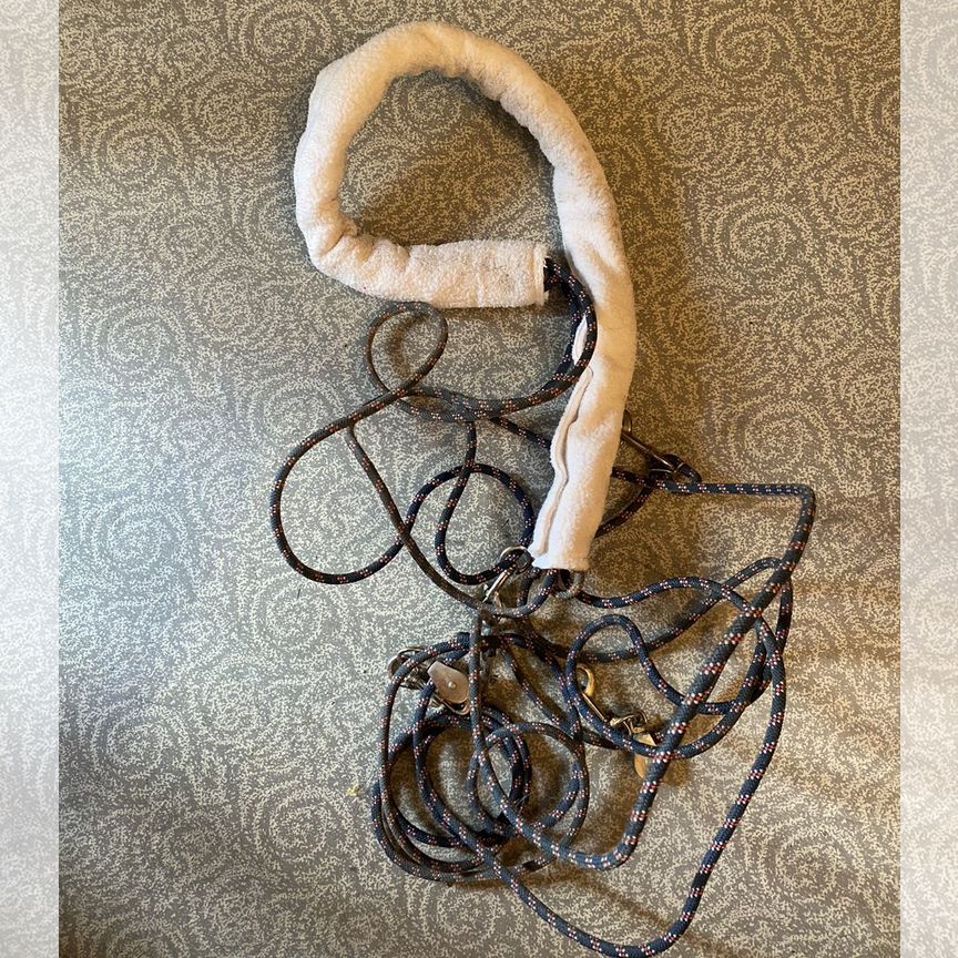 Шлея пессоа