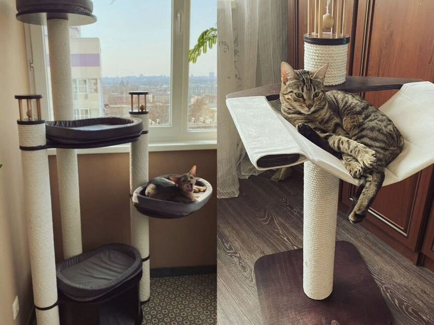 Когтеточка с домиком