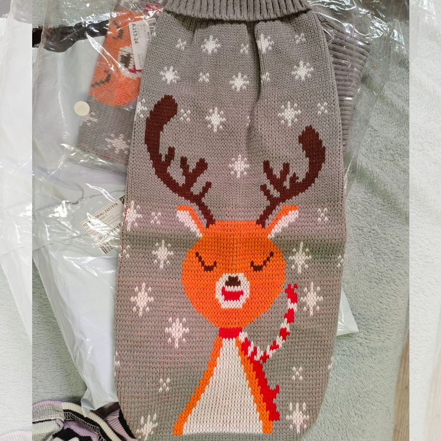 Одежда для маленьких собак