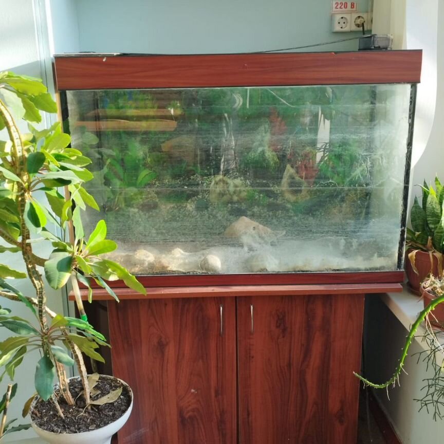 Аквариум с тумбой