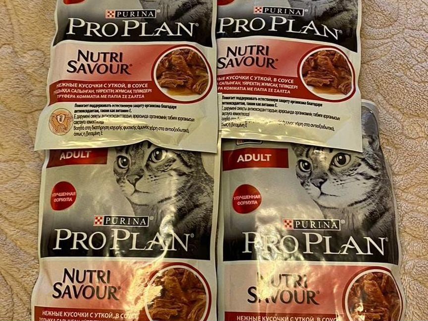 Влажный корм для кошек Pro Plan