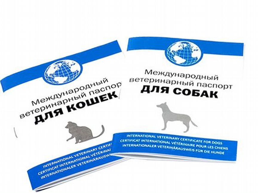 Ветеринарный паспорт
