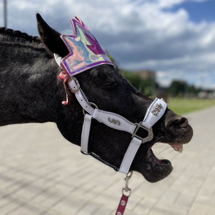 Недоуздок для пони