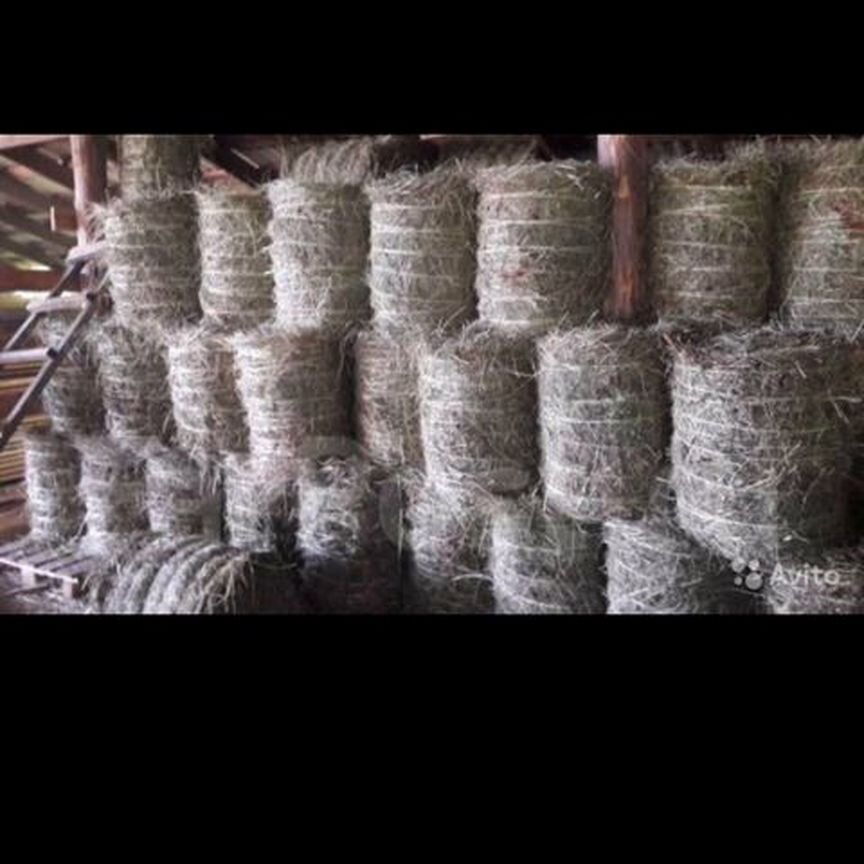 Сено в тюках