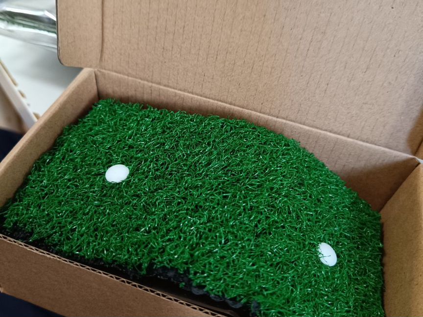 Плот для черепах и рептилий