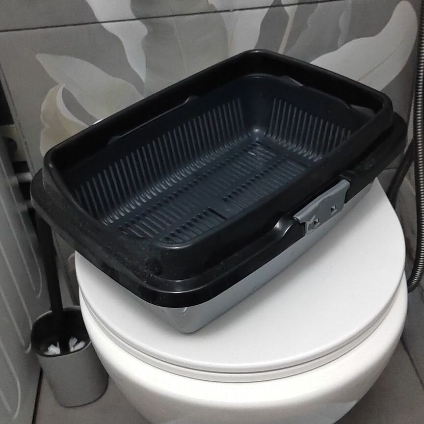 Лоток для котят